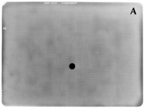 Why are screen contact tests required annually?